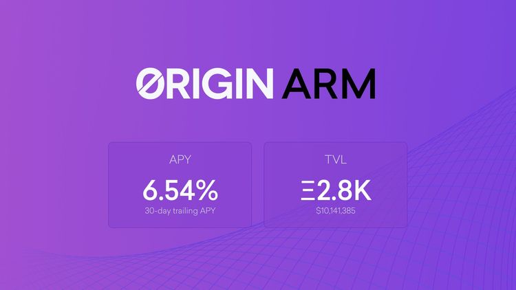 تقرير ممتلكي العملات لشهر نوفمبر 2024